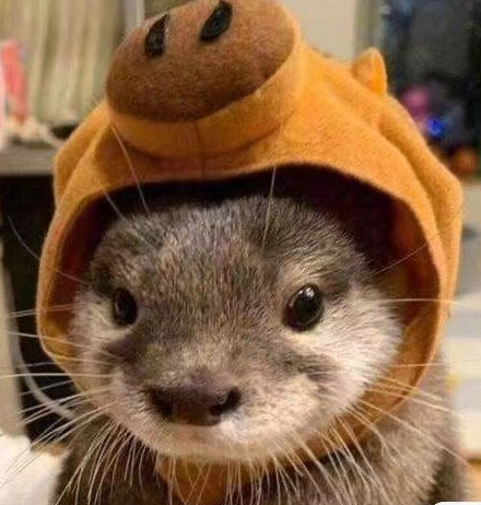 CV - Yuer Chen / HomePage